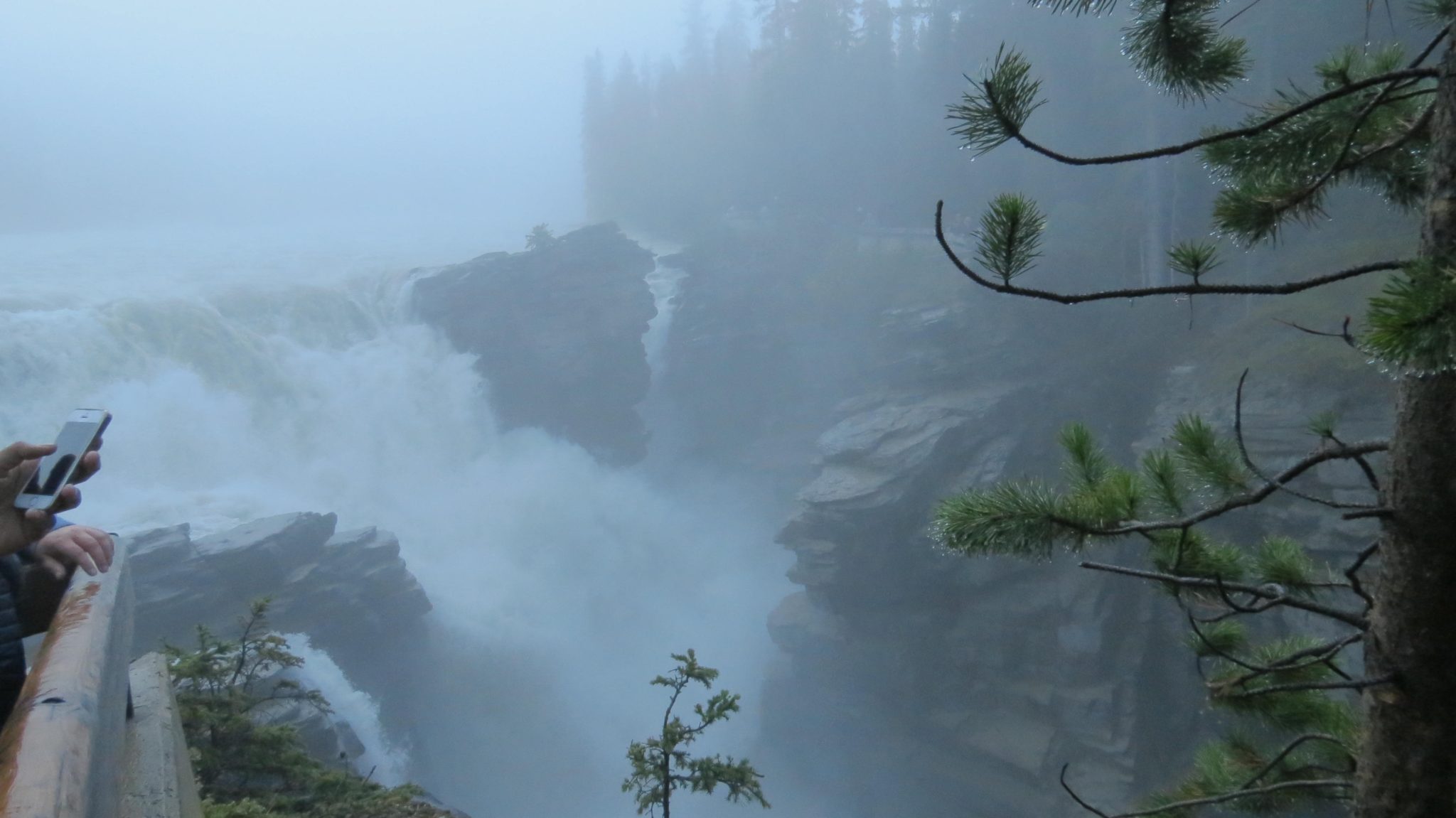 Hiking The Athabasca Falls Trail, Jasper National Park (Alberta, Canada ...