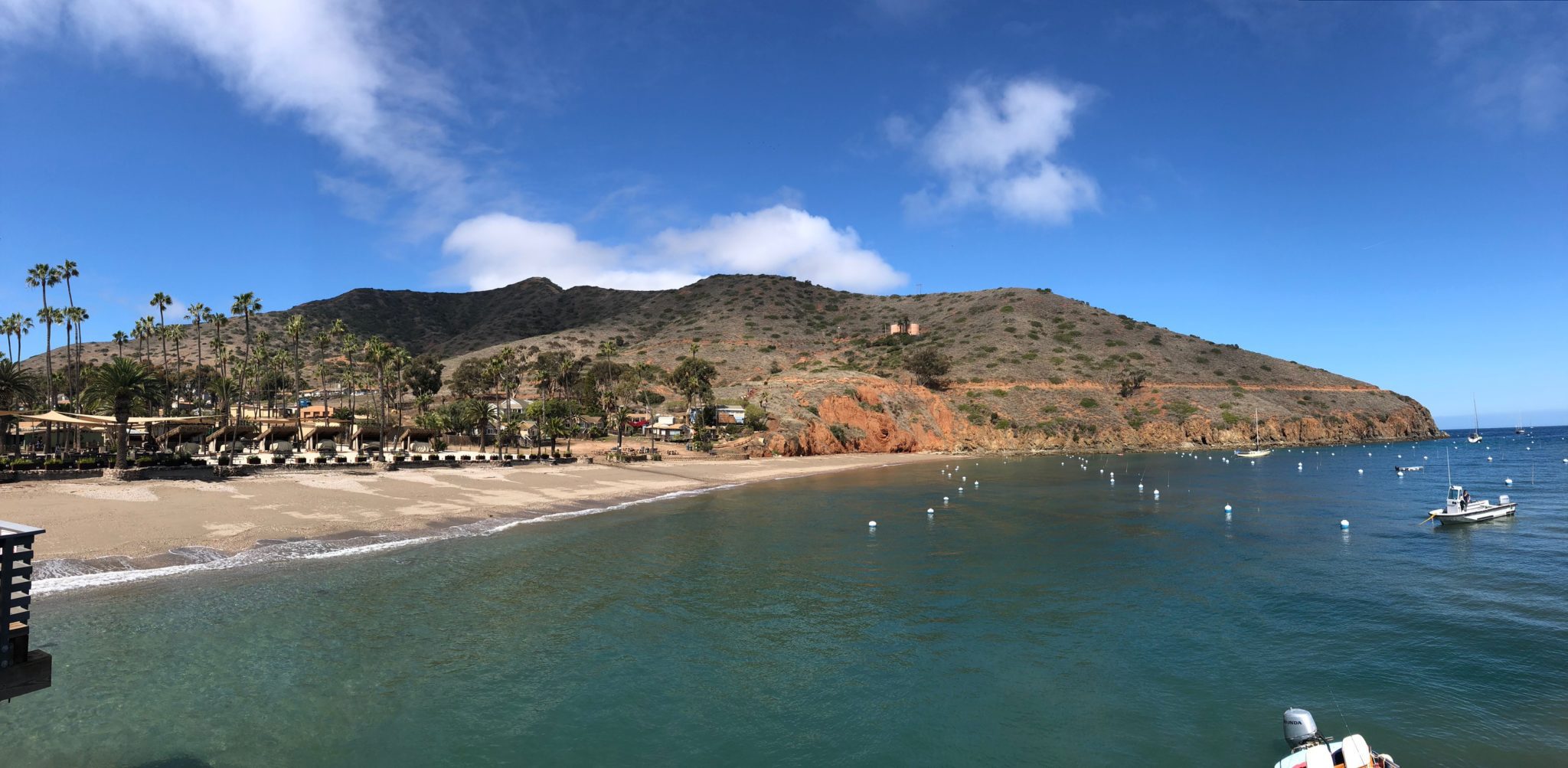 Hiking The Trans-Catalina Trail (TCT): Part 1 - Two Harbors To Parsons ...