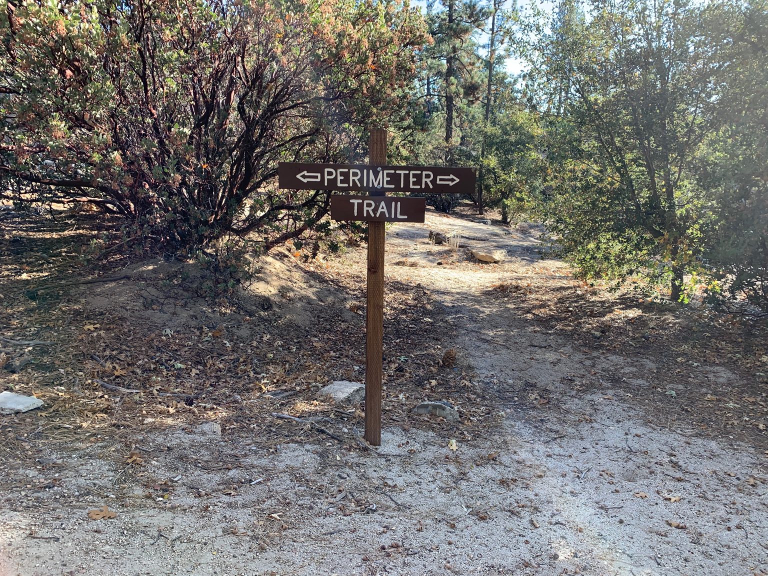 Hiking The Perimeter Loop Trail, Idyllwild Nature Center (Idyllwild, CA ...