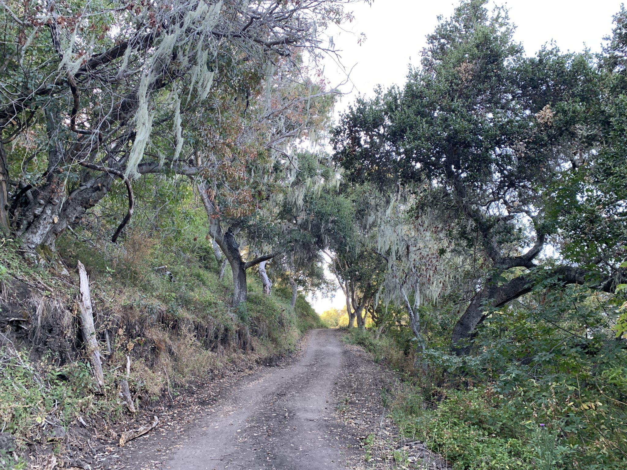 Hiking The Huff 'N' Puff & Horseshoe Trail Loop (Carmel Valley Ranch ...
